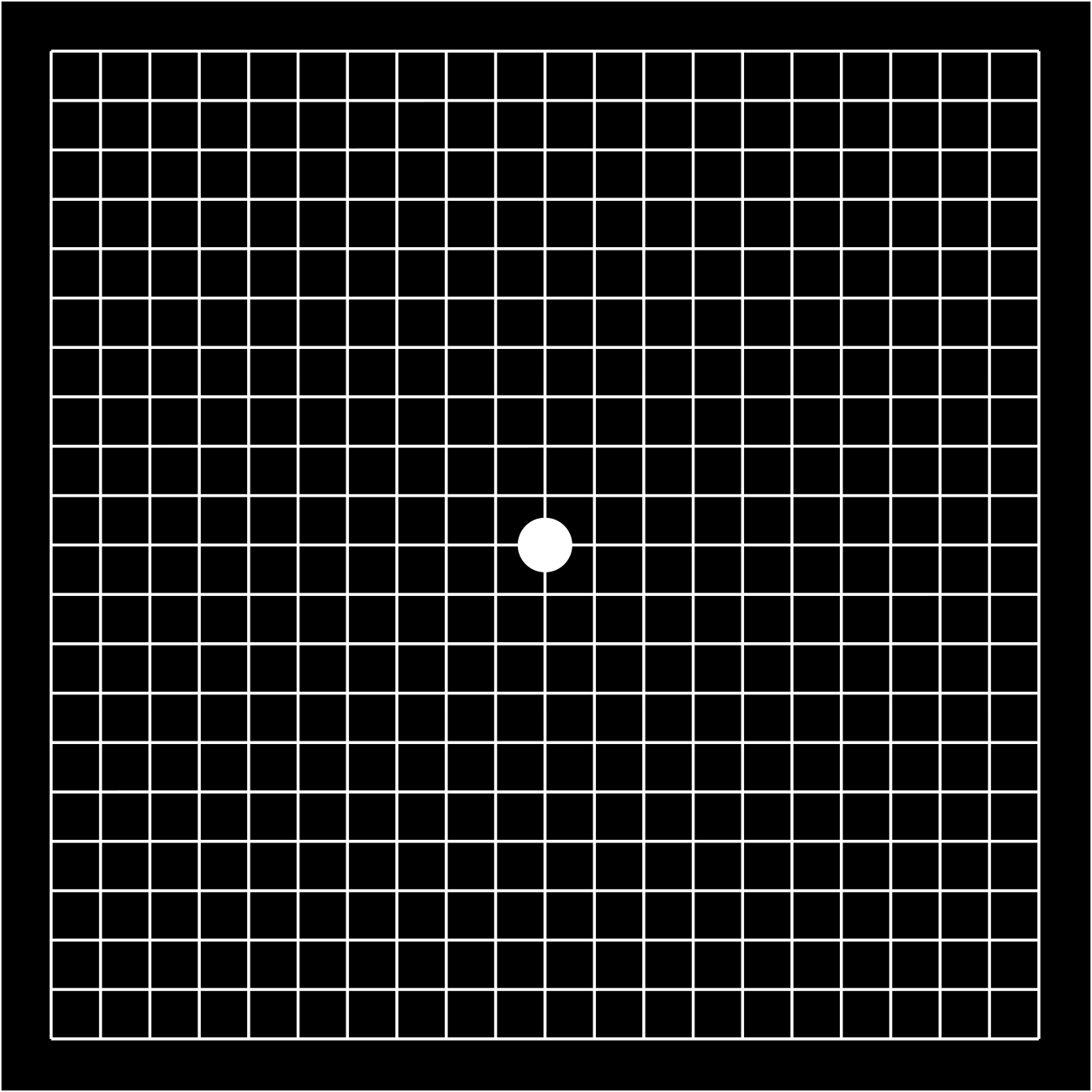 Amsler Gitter Test: zur Makuladegeneration Früherkennung